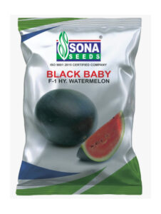 Blackbaby – Sona Genetics