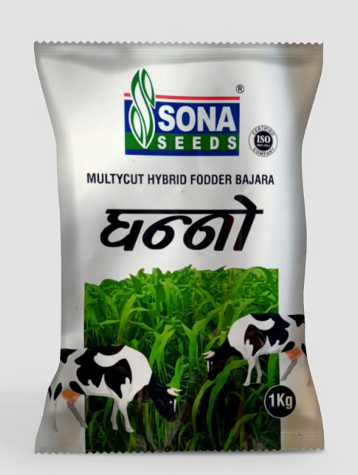 Hybrid Ridge Gourd – Dhara – Sona Genetics